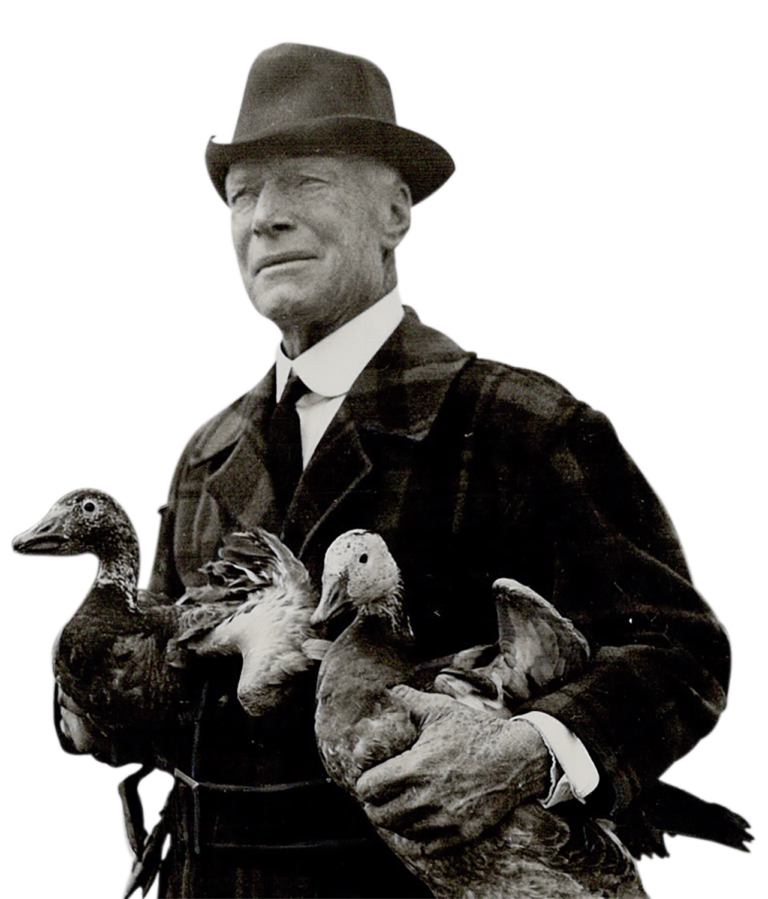 The Jack Miner Migratory Bird Sanctuary – Banding Together: Past ...
